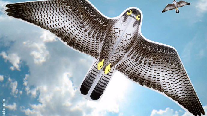 Cerfs-volants effaroucheurs