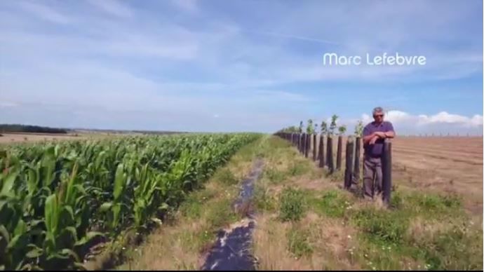 Témoignage de Marc Lefebvre sur l'agroforesterie
