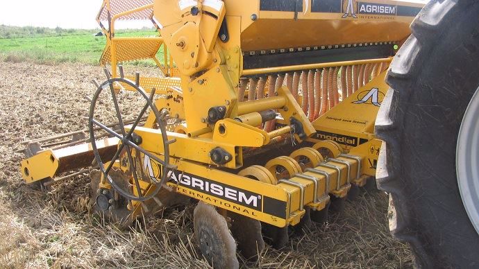 RDI, colza fourrager, pois: les pistes pour produire du fourrage d'automne