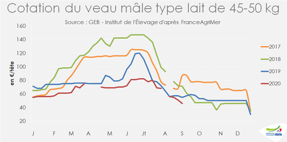 Cours du veau mâle laitier de 8 jours et engraissement