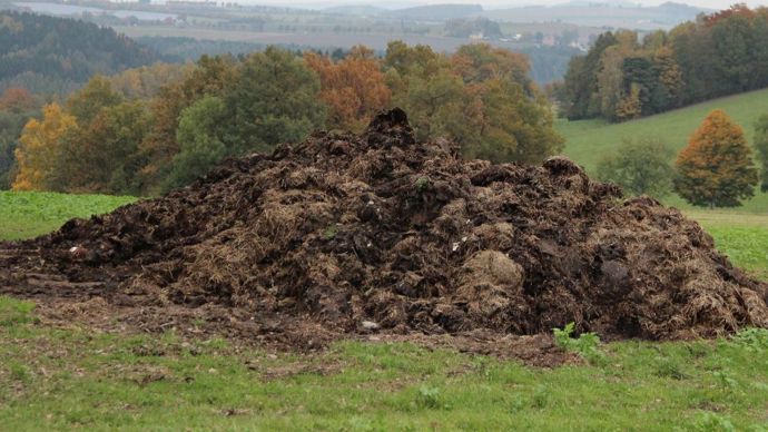 Prix du fumier de bovin