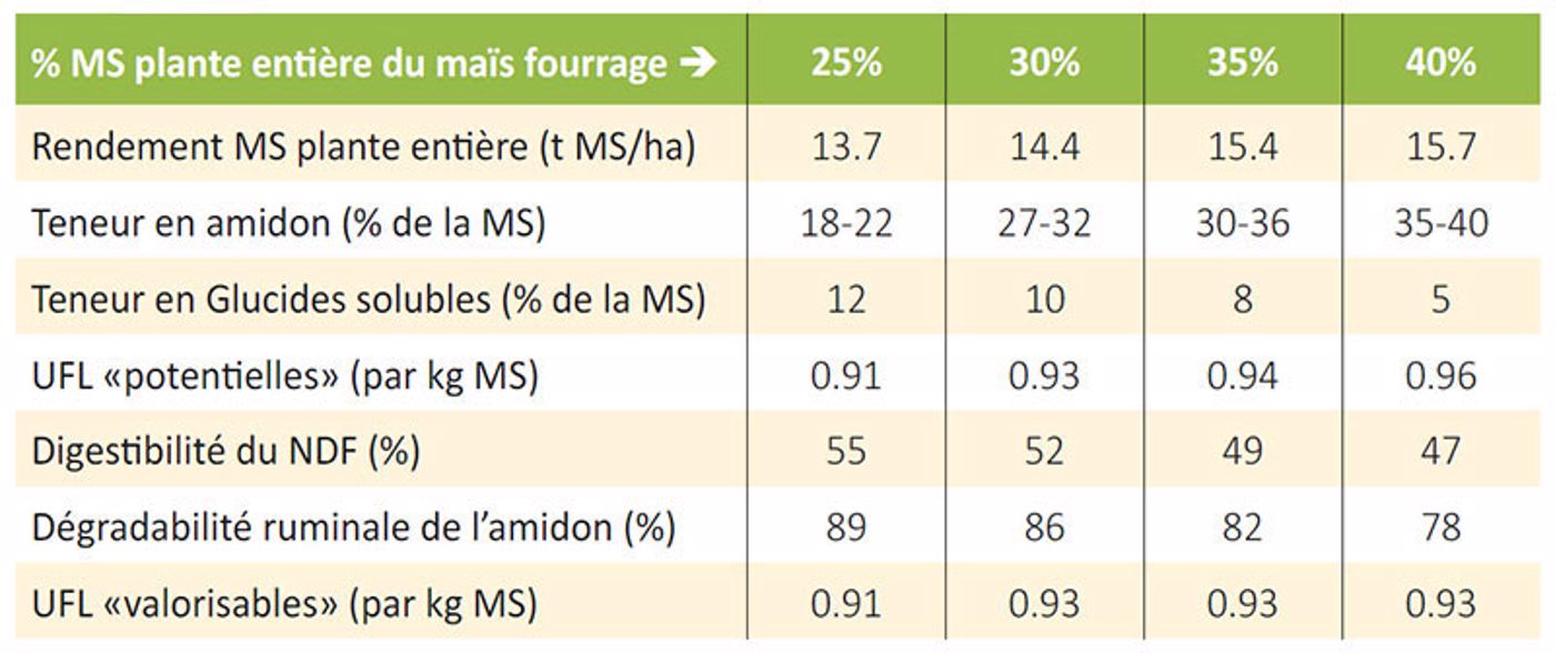 Stade de récolte du maïs ensilage pour 32 % de matière sèche