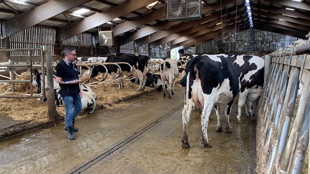 Audit Boviwell en élevage laitier : un éleveur témoigne sur ses résultats