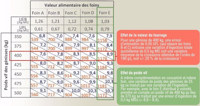 Calculer la ration hivernale des génisses laitières