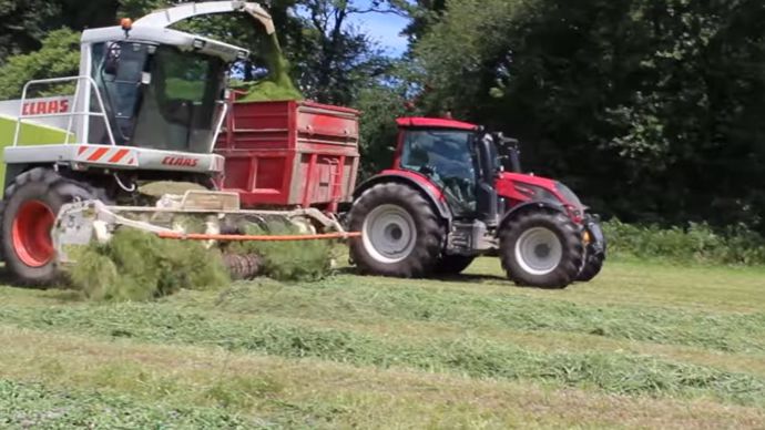 Les intérêts de récolter précocemment son ensilage d'herbe