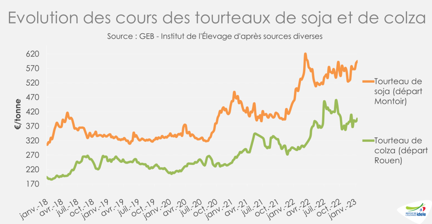 Alimentation animale : vers une baisse des prix en tourteaux et céréales