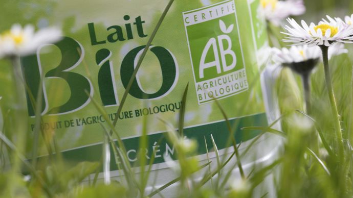 Analyse : La filière du lait bio face à une fragilité inédite