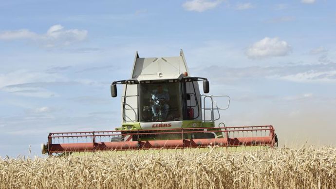 Selon l’Insee : La valeur de la production agricole française croît de ...