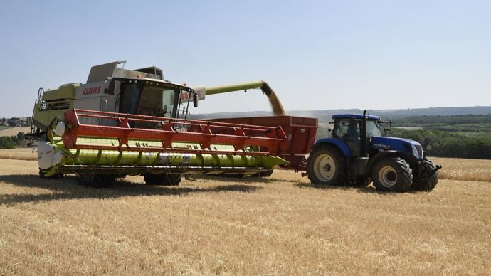 Céréales : Moisson bien avancée et maïs en difficulté