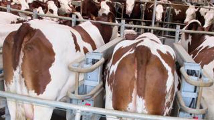 Quelle installation de traite