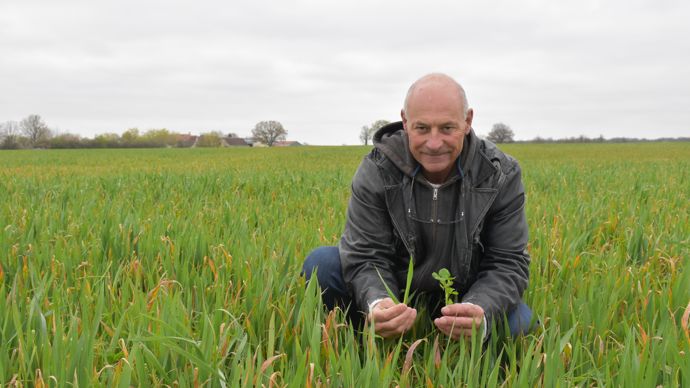 En bio : un labour efficace et utilisé à bon escient