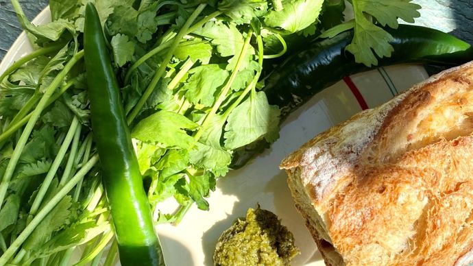 Saveurs d'ailleurs : Le zkhoug (ou zhoug/zhug), en Israël