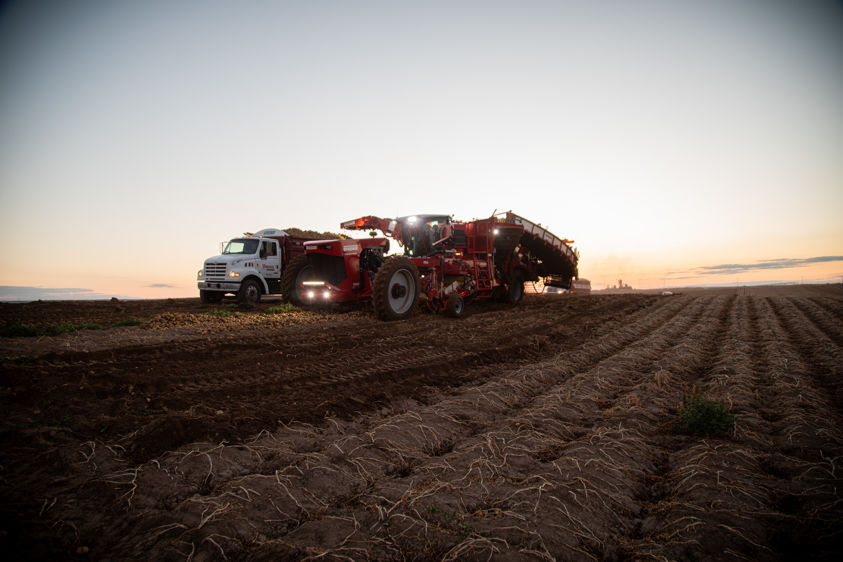 [récolte] Jusqu'à 500 tonnes à l'heure avec la Spudnik Terratron 7040