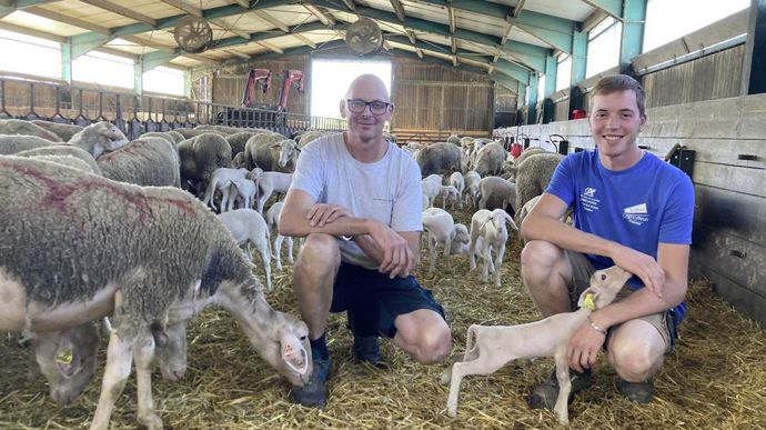 « Nous sommes passés de la viande ovine au lait de brebis