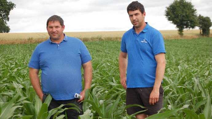 « Avant maïs, nous implantons 20 hectares de dérobées fourragères ...
