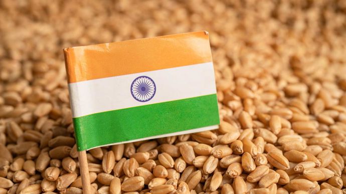 Zoom sur le marché du blé en Inde