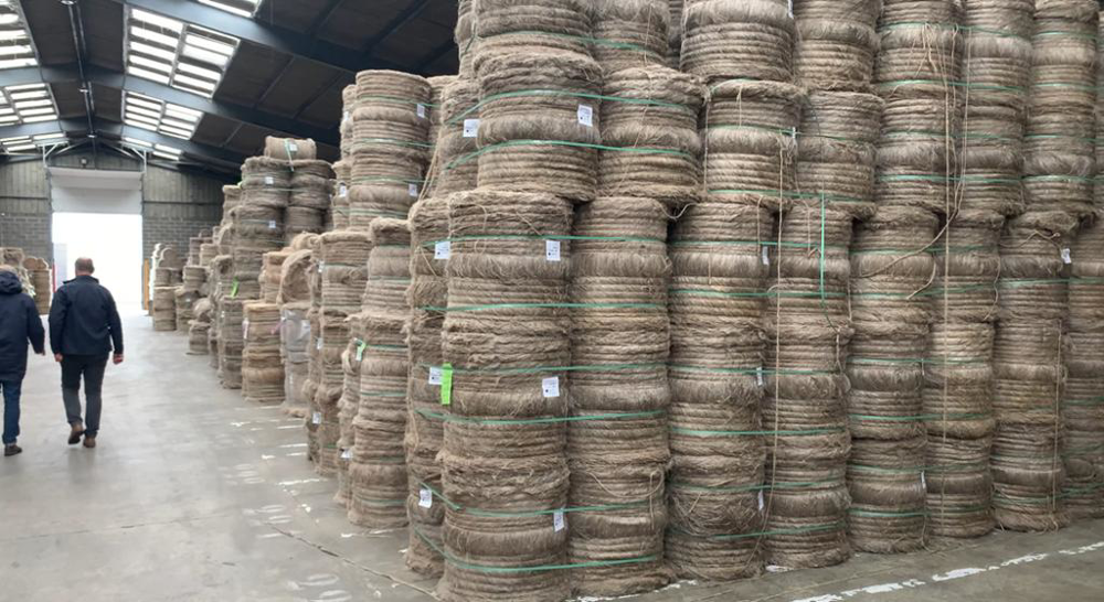 A la découverte de la filière lin française