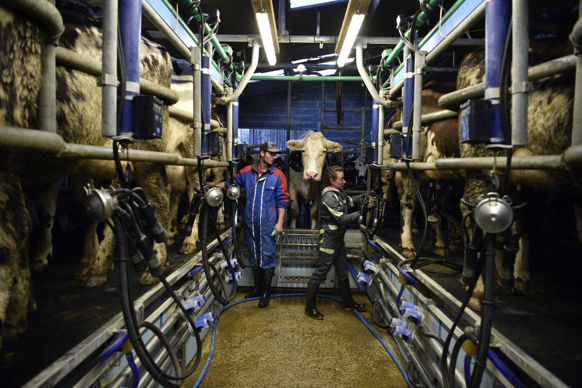 La France Agricole - Agriculture