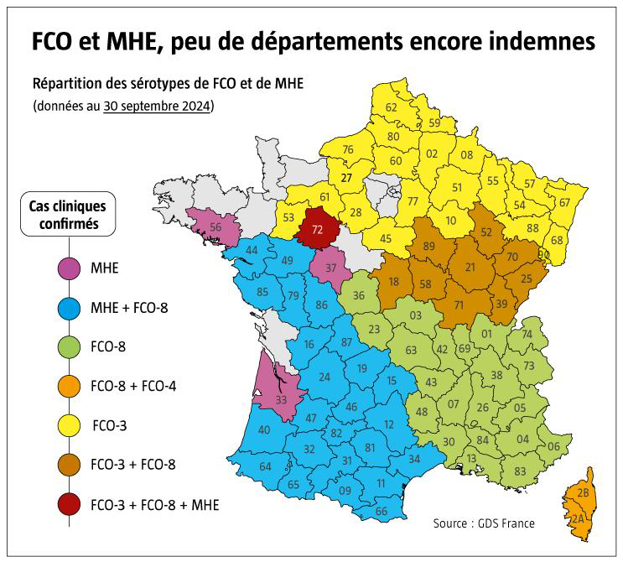 Crise sanitaire dans les élevegaes laitiers avec l'expansion de la FCO et de la MHE