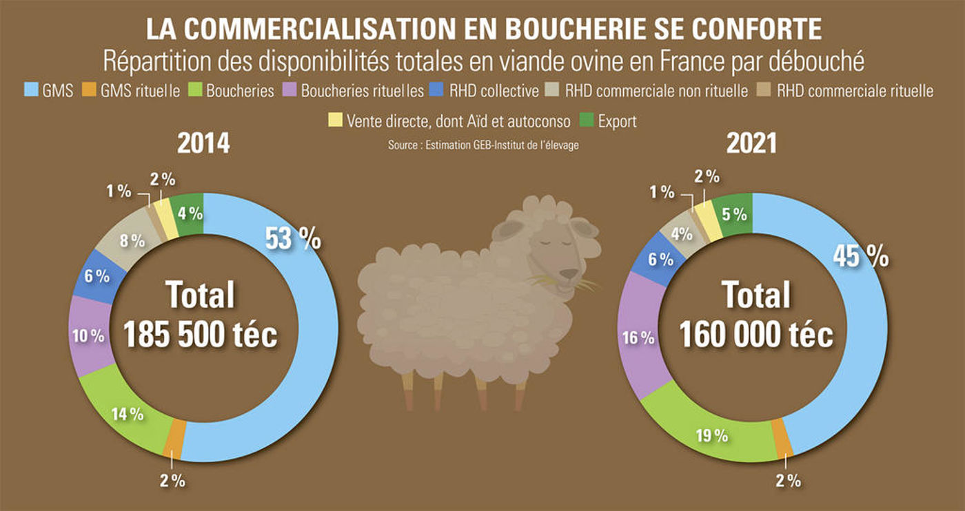 Les débouchés de la viande ovine évoluent