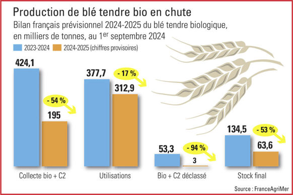 Une chute historique de la production de blé tendre