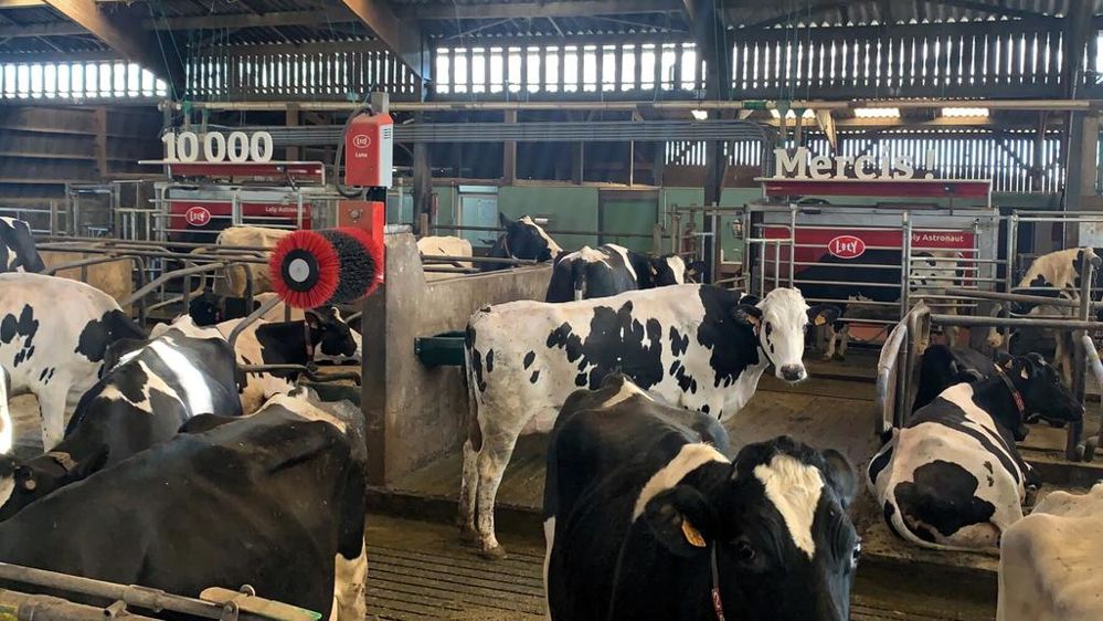 Renouvellement de robot de traite Lely