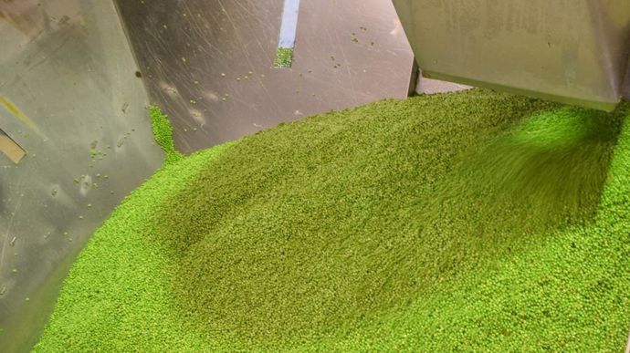 Légumes surgelés : Gelagri Bretagne et Greenyard négocient un partenariat