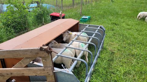 Tech-Ovin 2025 au cœur de l’innovation