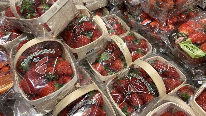 L’AOPn Fraises Framboises lance un réseau national de sélection ...
