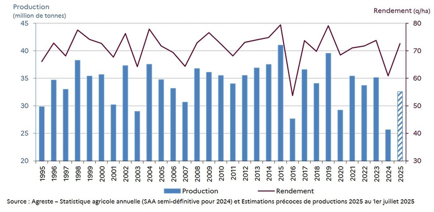 Moisson 2025 : les estimations de rendements en blé tendre