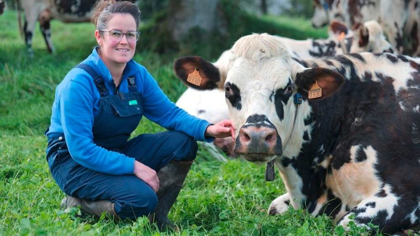 Les 10 reportages en élevages laitiers les plus regardés de l'année