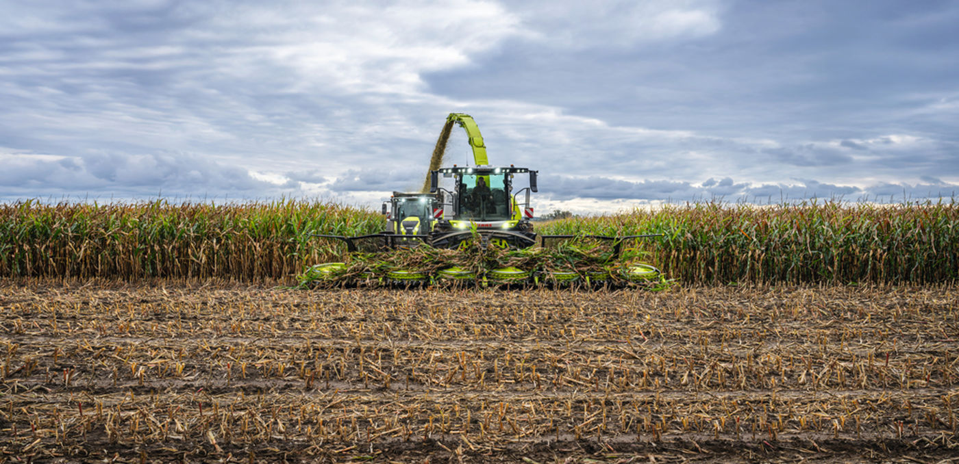 Claas : l’ensileuse Jaguar 1200 atteint 1110 ch et s'équipe d'un bec de ...