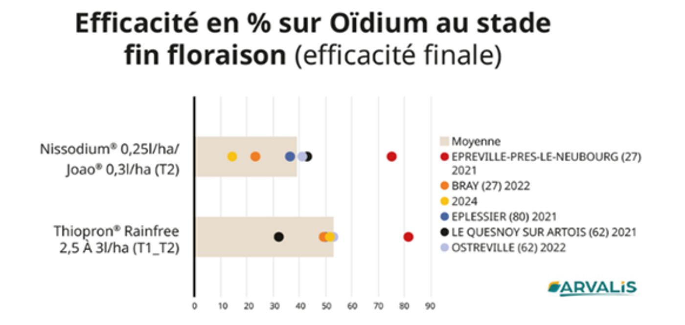 Oïdium du lin