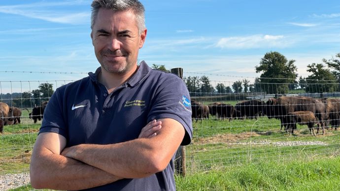 Le bison d’Amérique s’est implanté en Auvergne