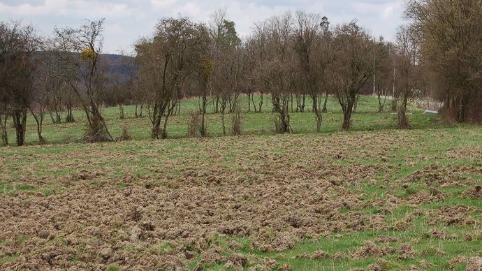 Entretien mécanique prairie : broyer, herser, ébouser, scarifier, émousser